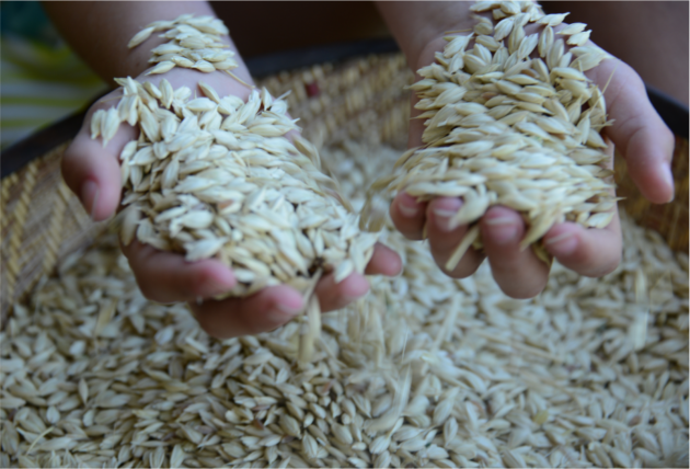 Cooking with Emmer - Bluebird Grain Farms