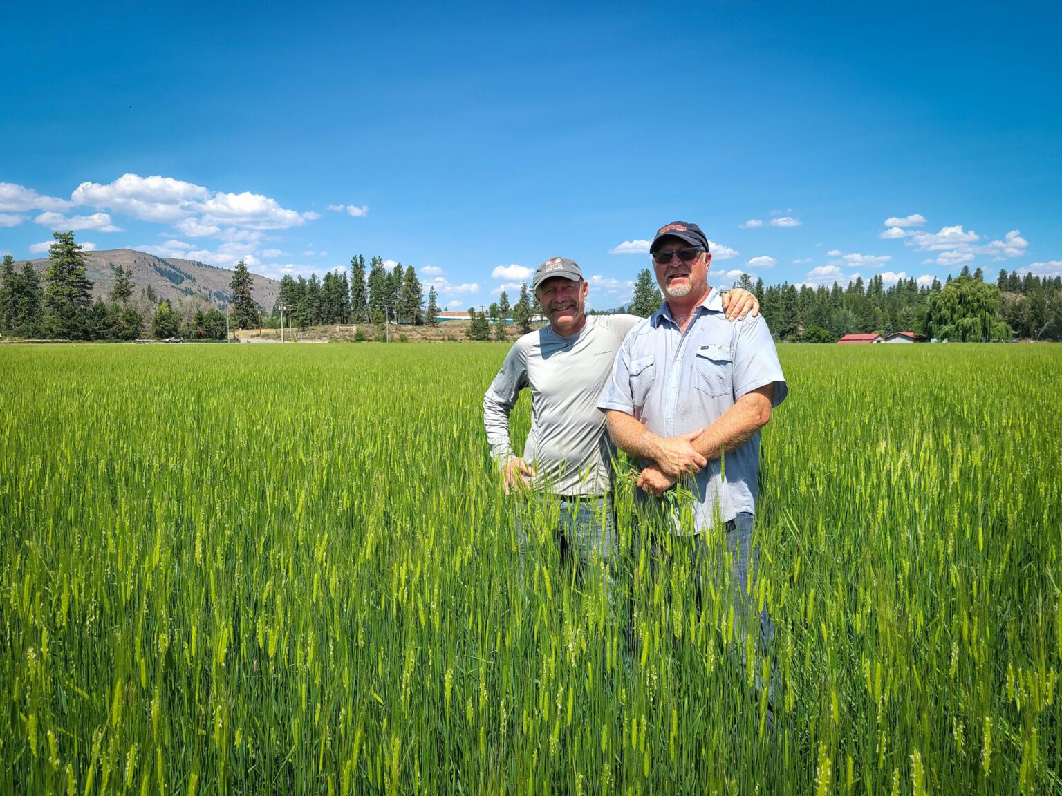 Farming Partners & Practices - Bluebird Grain Farms