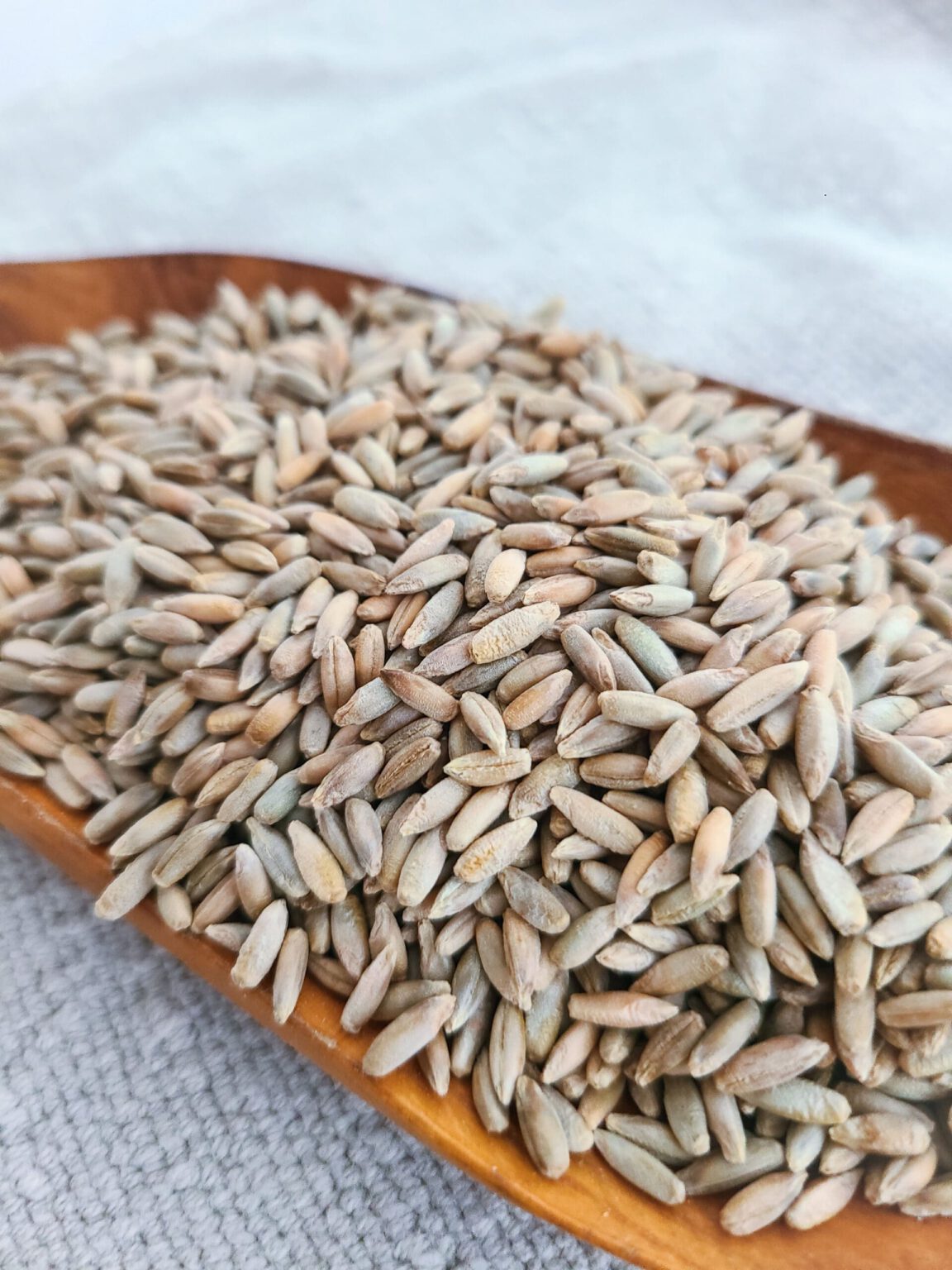 Organic Heritage Rye Berries - Bluebird Grain Farms