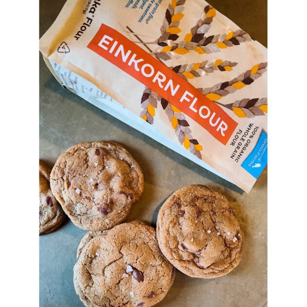 The Perfect Einkorn Chocolate Chip Cookie - Bluebird Grain Farms