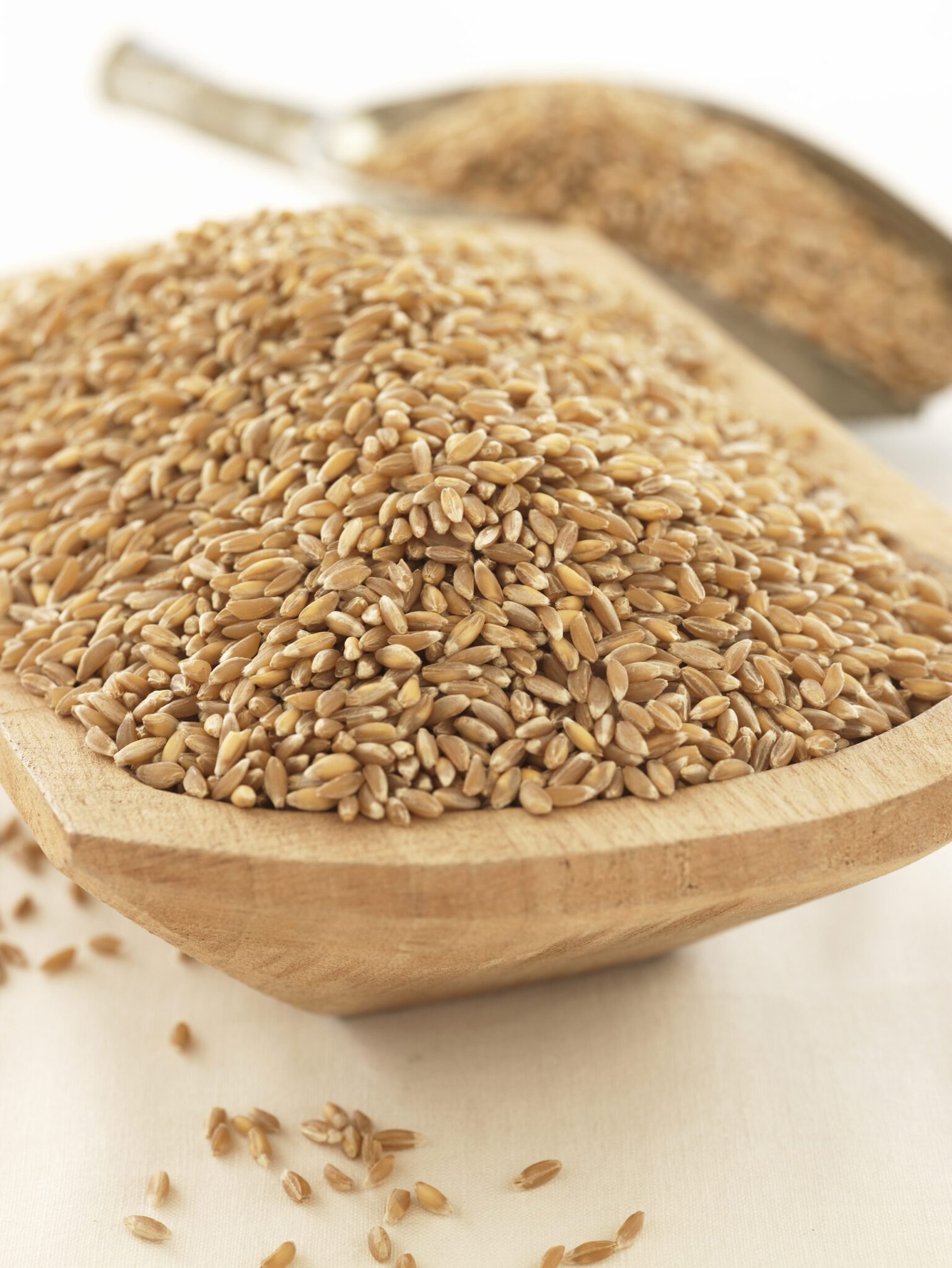 Facts about Emmer - Bluebird Grain Farms