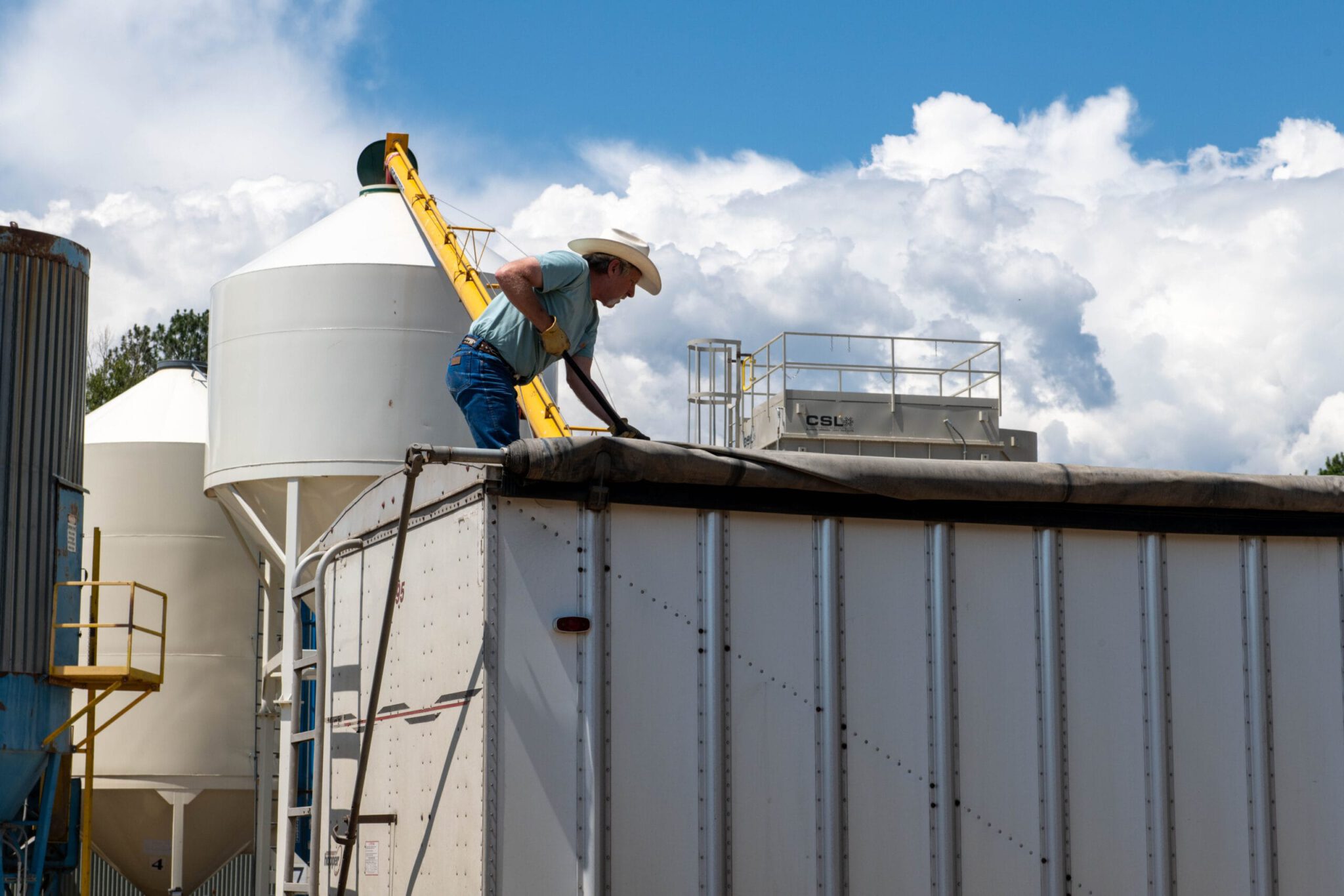 Wholesale - Bluebird Grain Farms