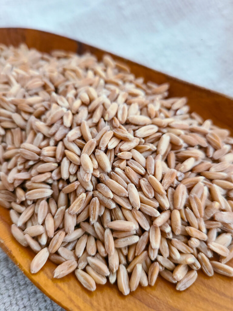 Organic Whole Grain Spelt Berries - Bluebird Grain Farms